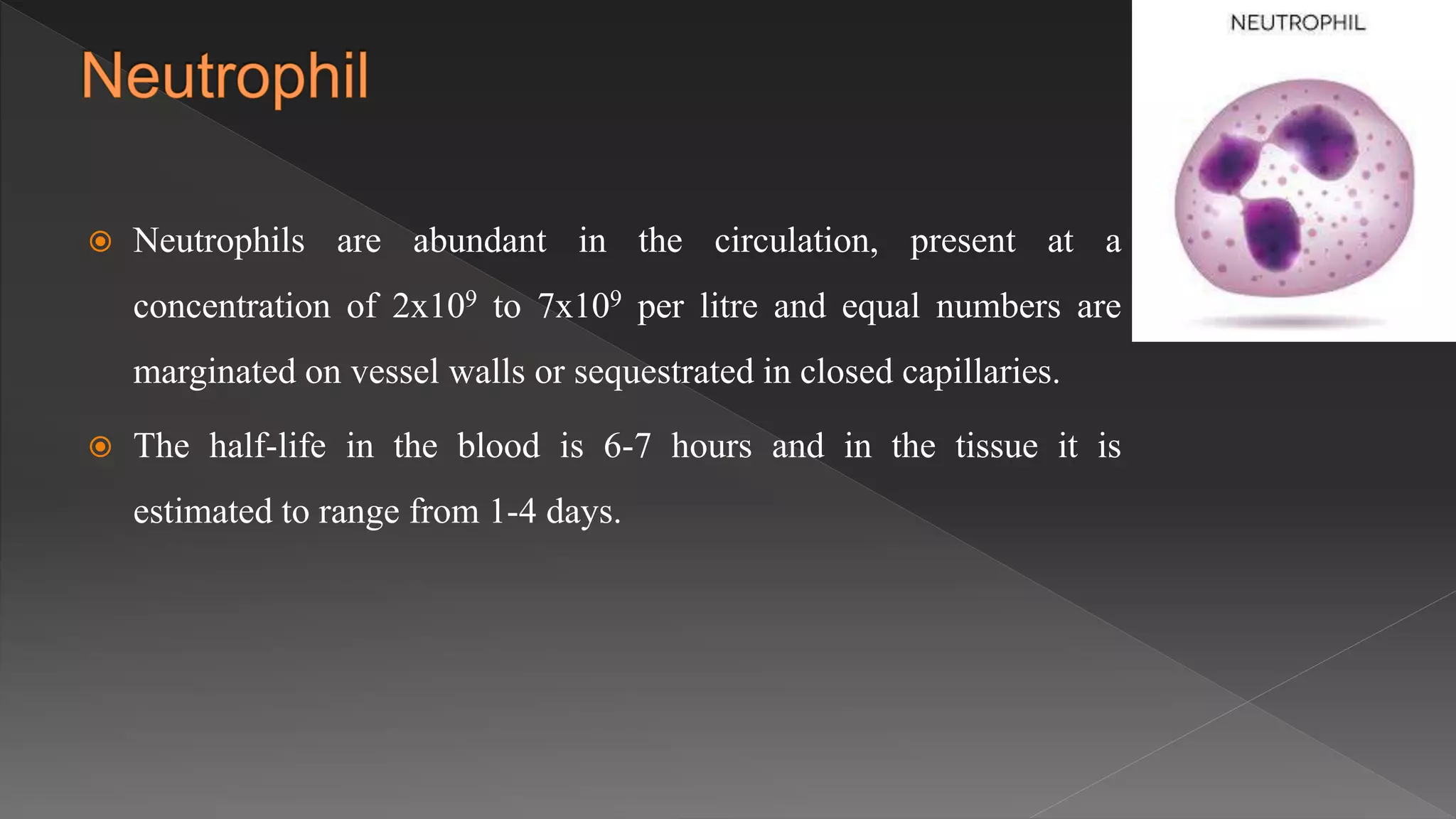 Neutrophil in health and disease | PPTX