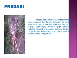 persentase desi-Neutualisme | PPTX