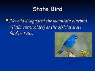 Nevada | PPT