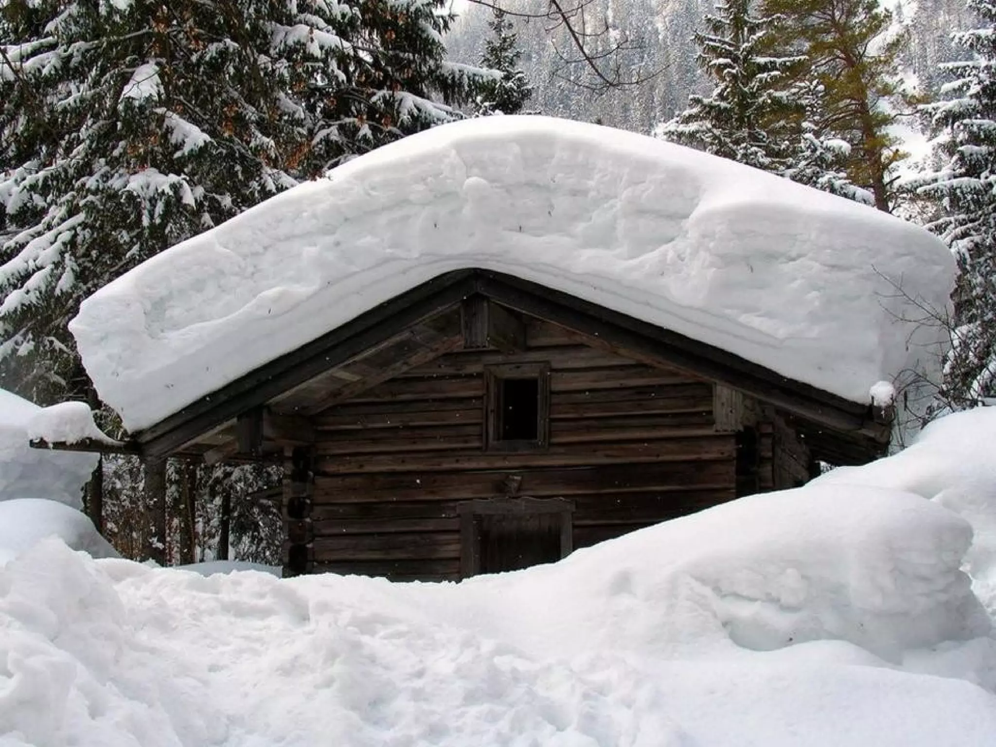 Neve Finlandia | PPT