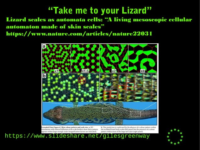 Never mind the_molluscs | ODP | Computer Peripherals | Computing