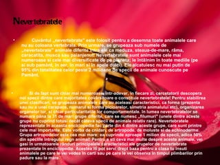 Nevertebratele | PPT