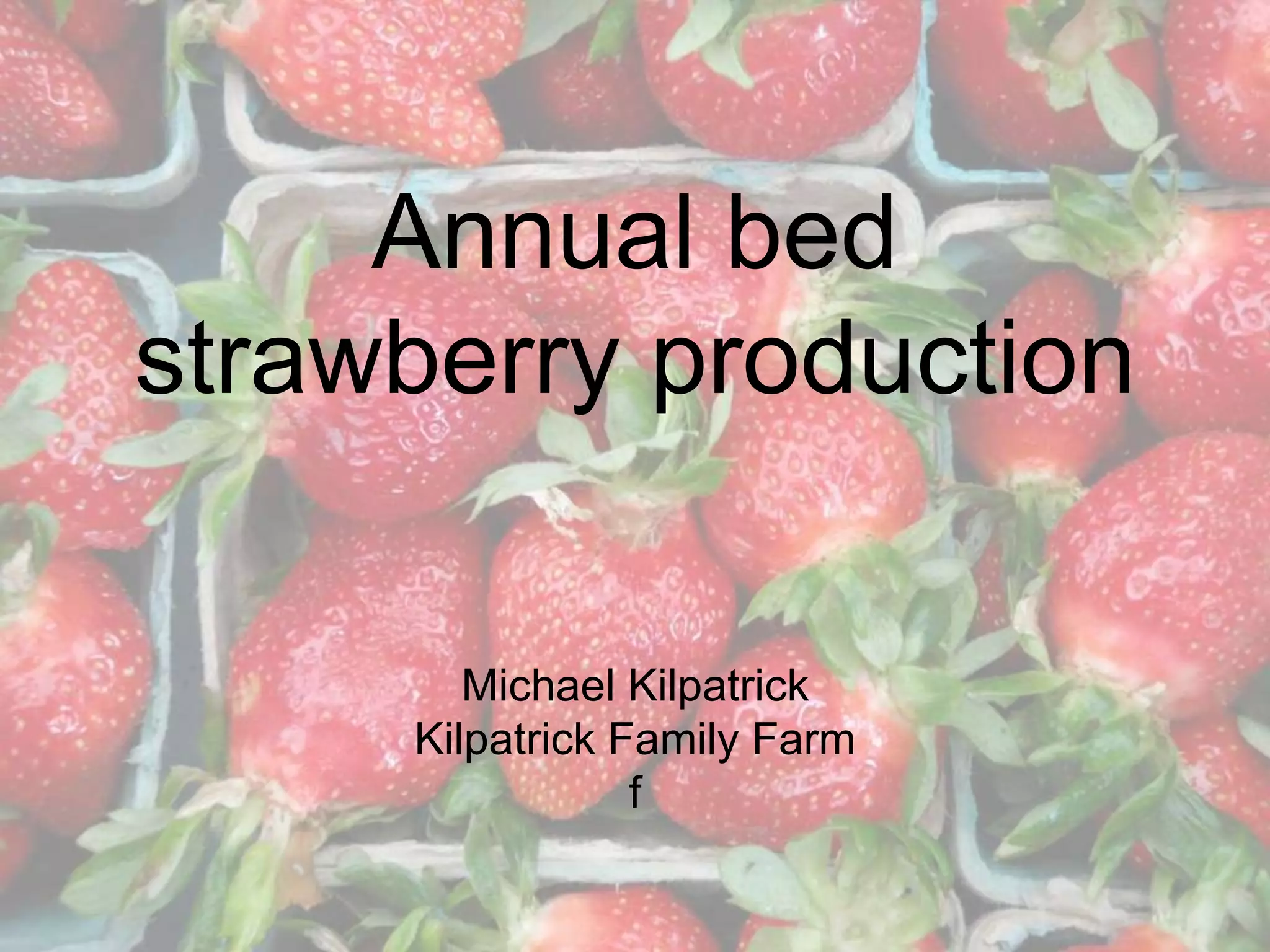 Annual Strawberry Production | PPTX