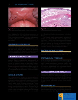 Neville, Oral and Maxillofacial Pathology, 3e.pdf