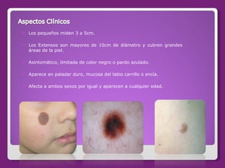 Nevo Celular Pigmentado | PPT
