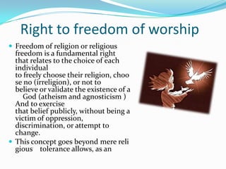 Human Rights | PPTX