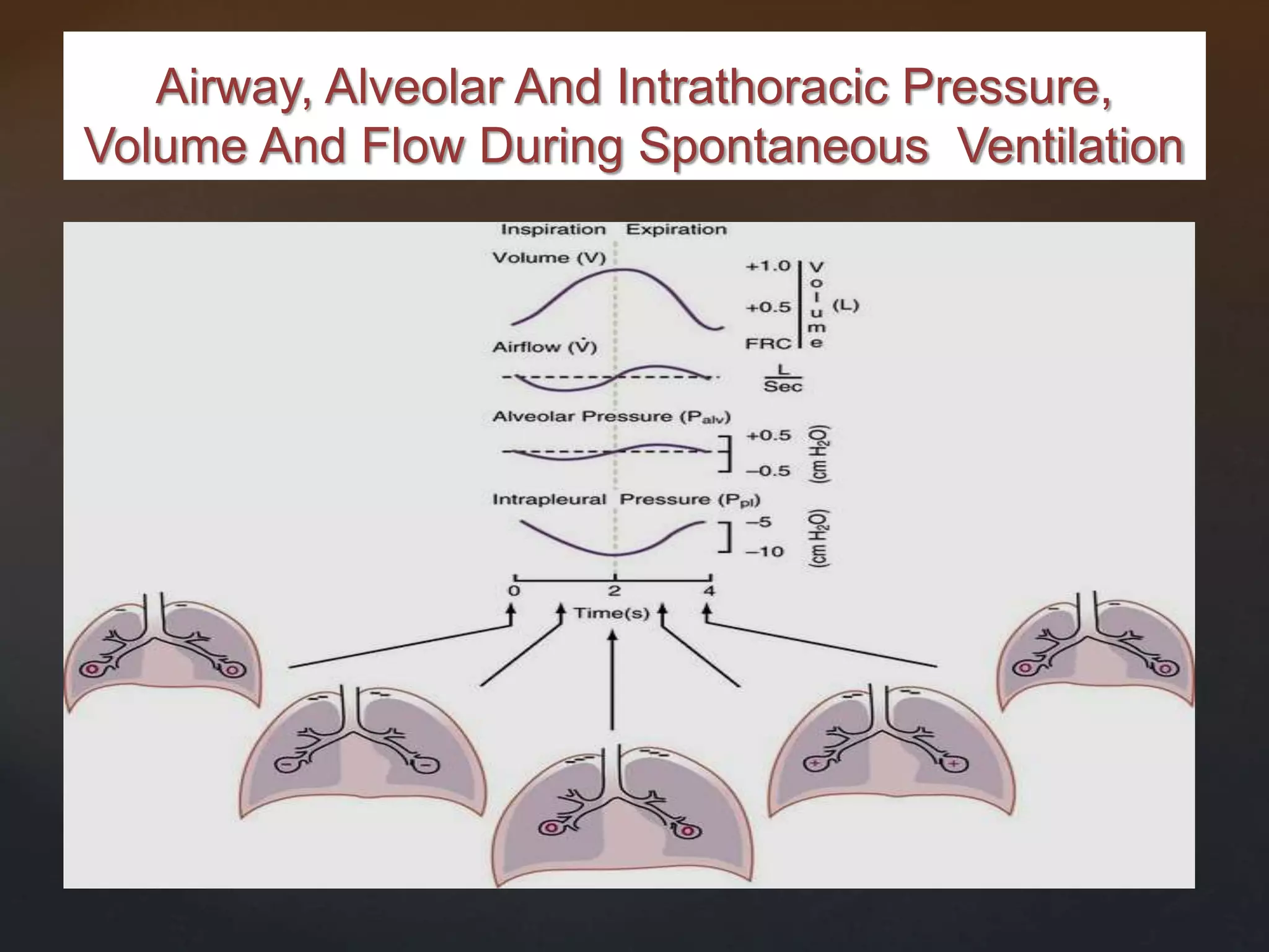 mechanics of ventilation | PPTX