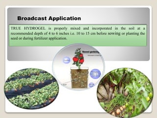 Applications of Super Absorbent Polymers in Agriculture | PPTX