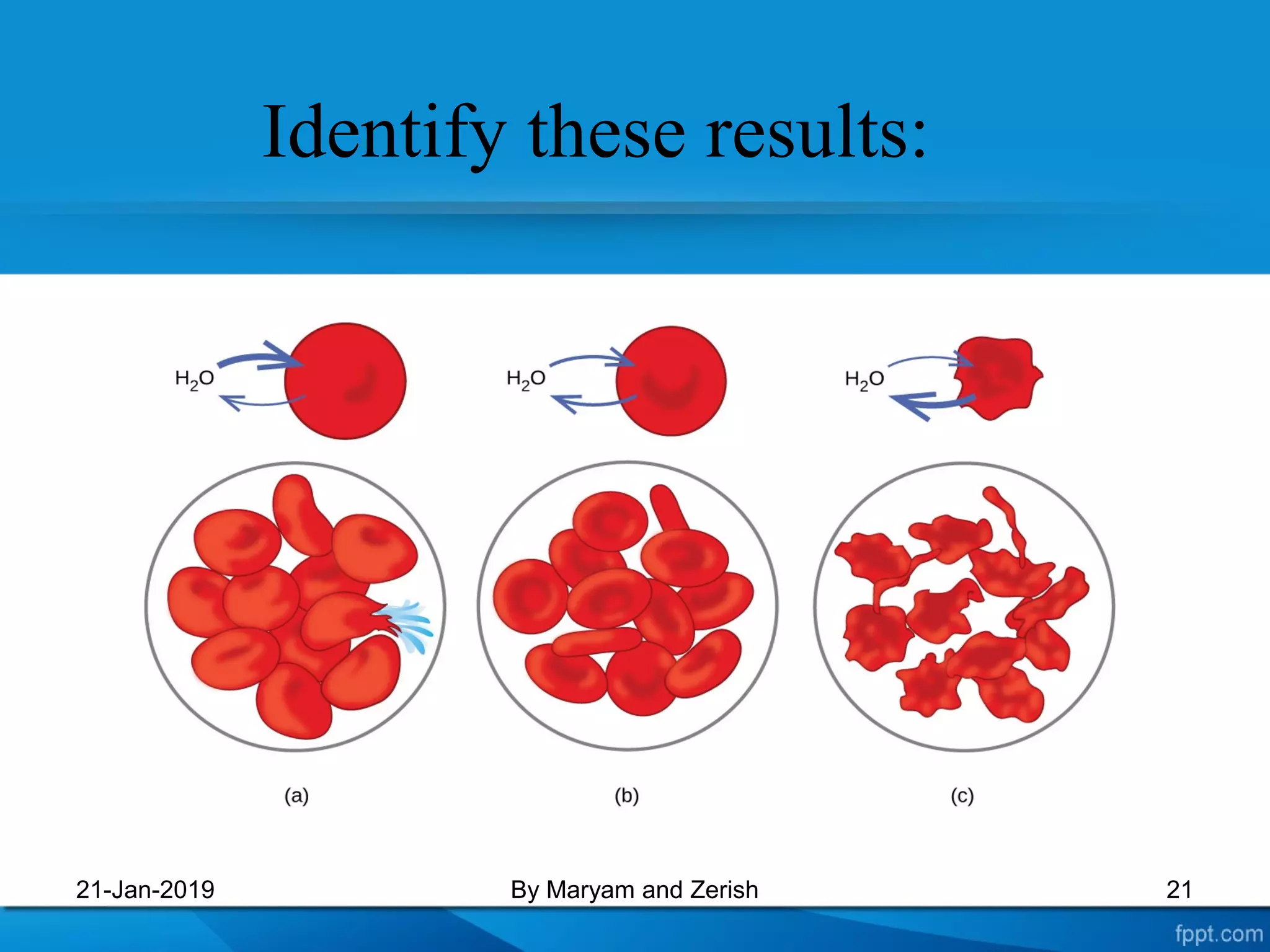 Isotonic, hypotonic and hypertonic solutions. | PPT