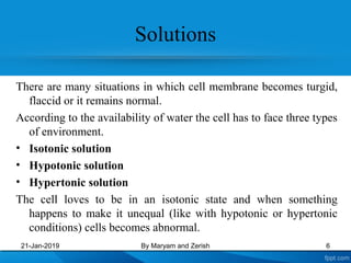 Isotonic, hypotonic and hypertonic solutions. | PPT