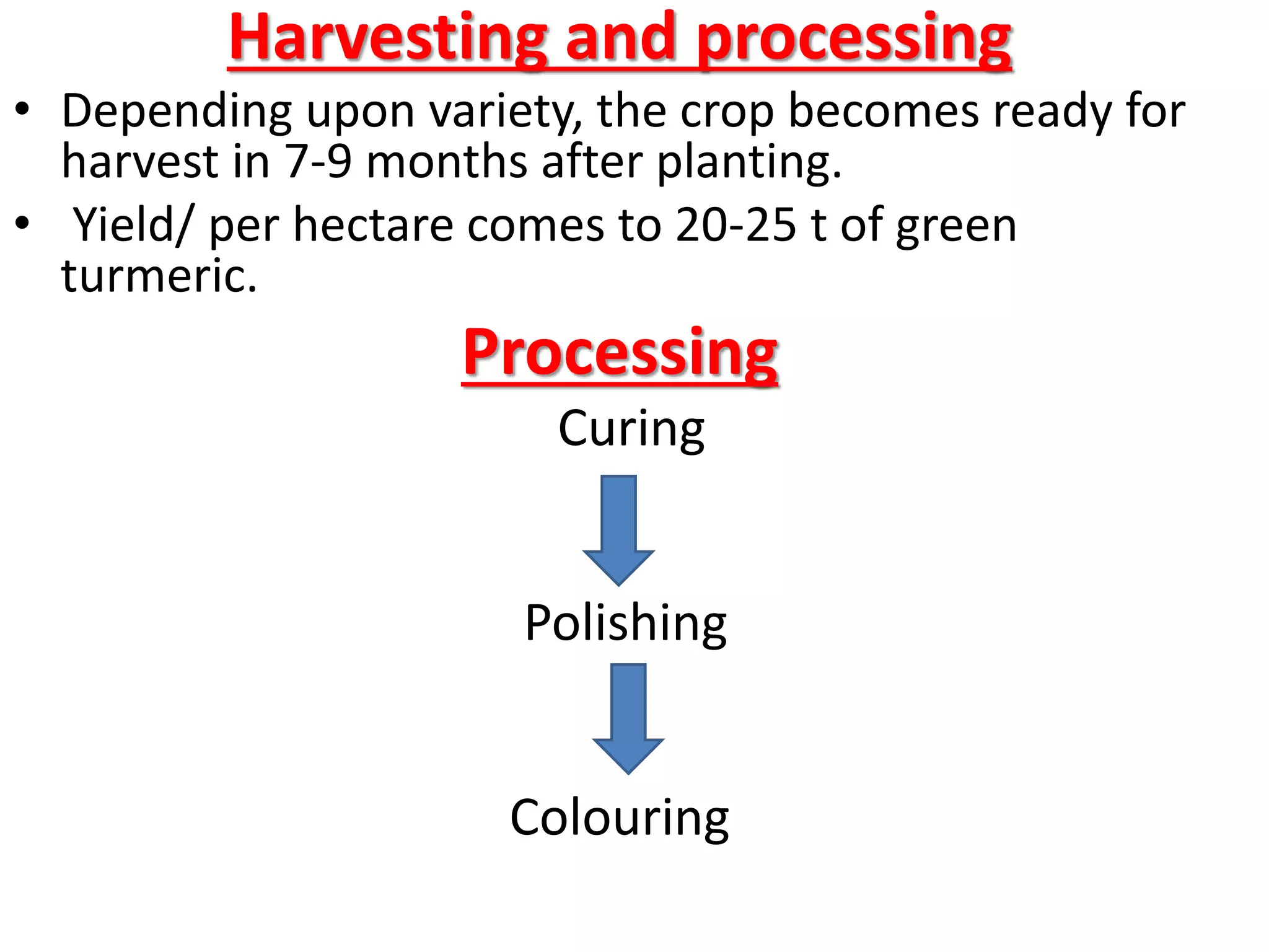 turmeric cultivativation , production technology of turmeric | PPTX