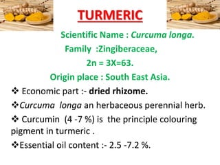 turmeric cultivativation , production technology of turmeric | PPTX