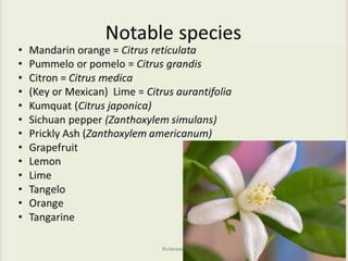 ppt on the family Rutaceae | PPTX