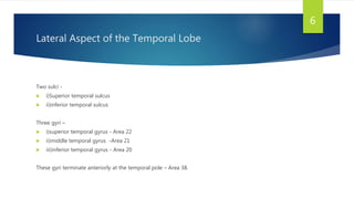 anatomy and physiology of temporal lobe | PPTX