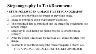 Steganography | PPTX