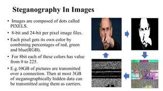 Steganography | PPT