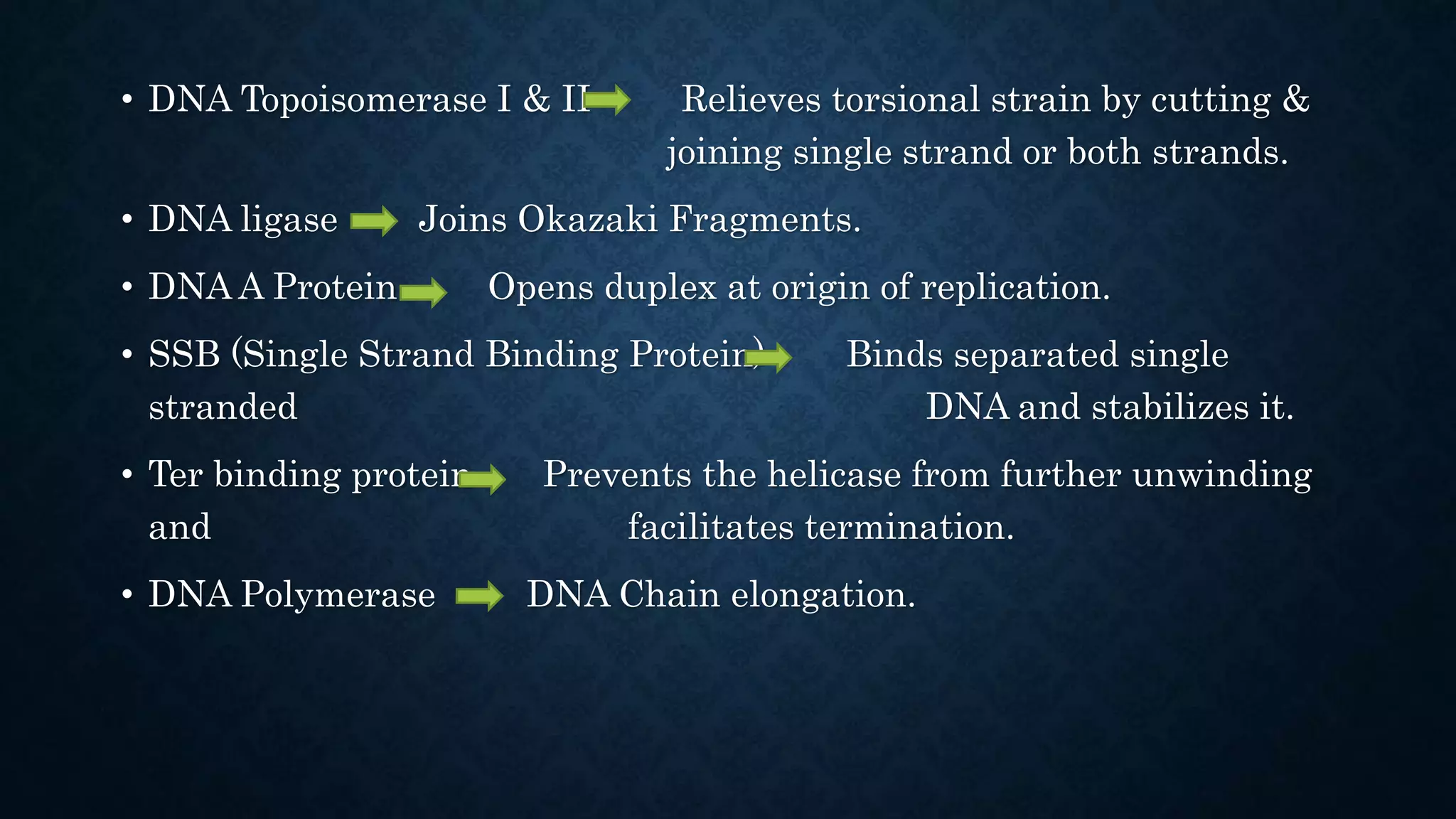 MECHANISM OF DNA REPLICATION | PPT