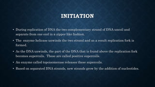 MECHANISM OF DNA REPLICATION | PPT