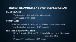 MECHANISM OF DNA REPLICATION | PPT