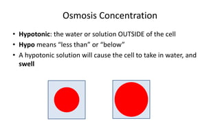 new.cell.transport.pdf