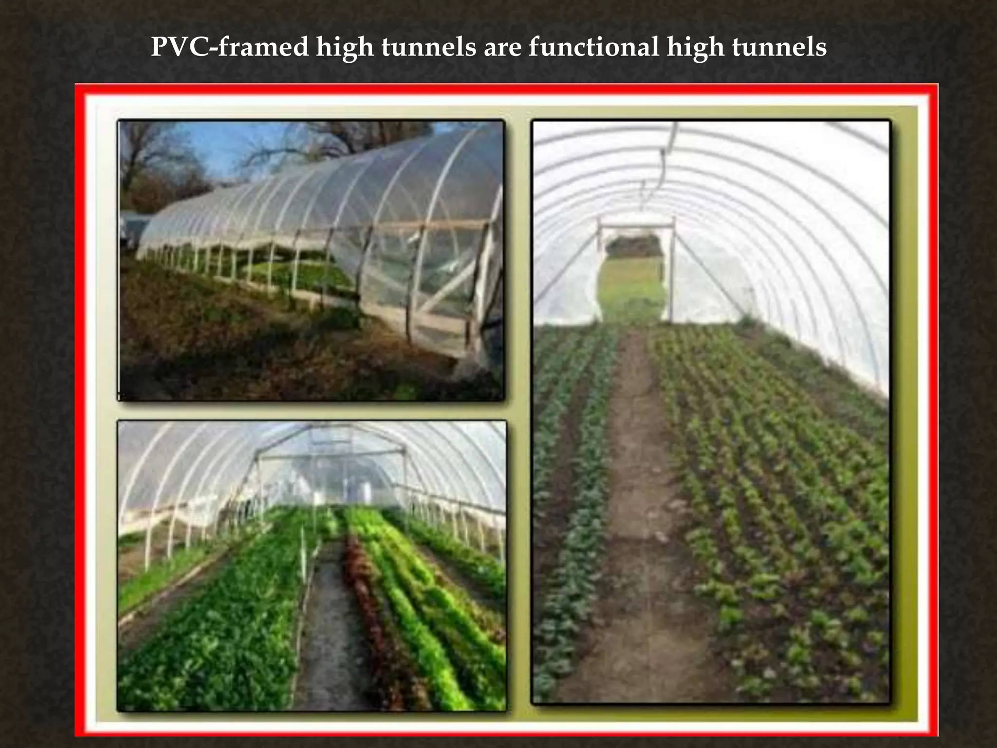 types of polyhouses and their selection.pptx