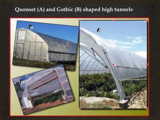 types of polyhouses and their selection.pptx