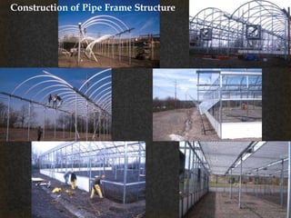 types of polyhouses and their selection.pptx