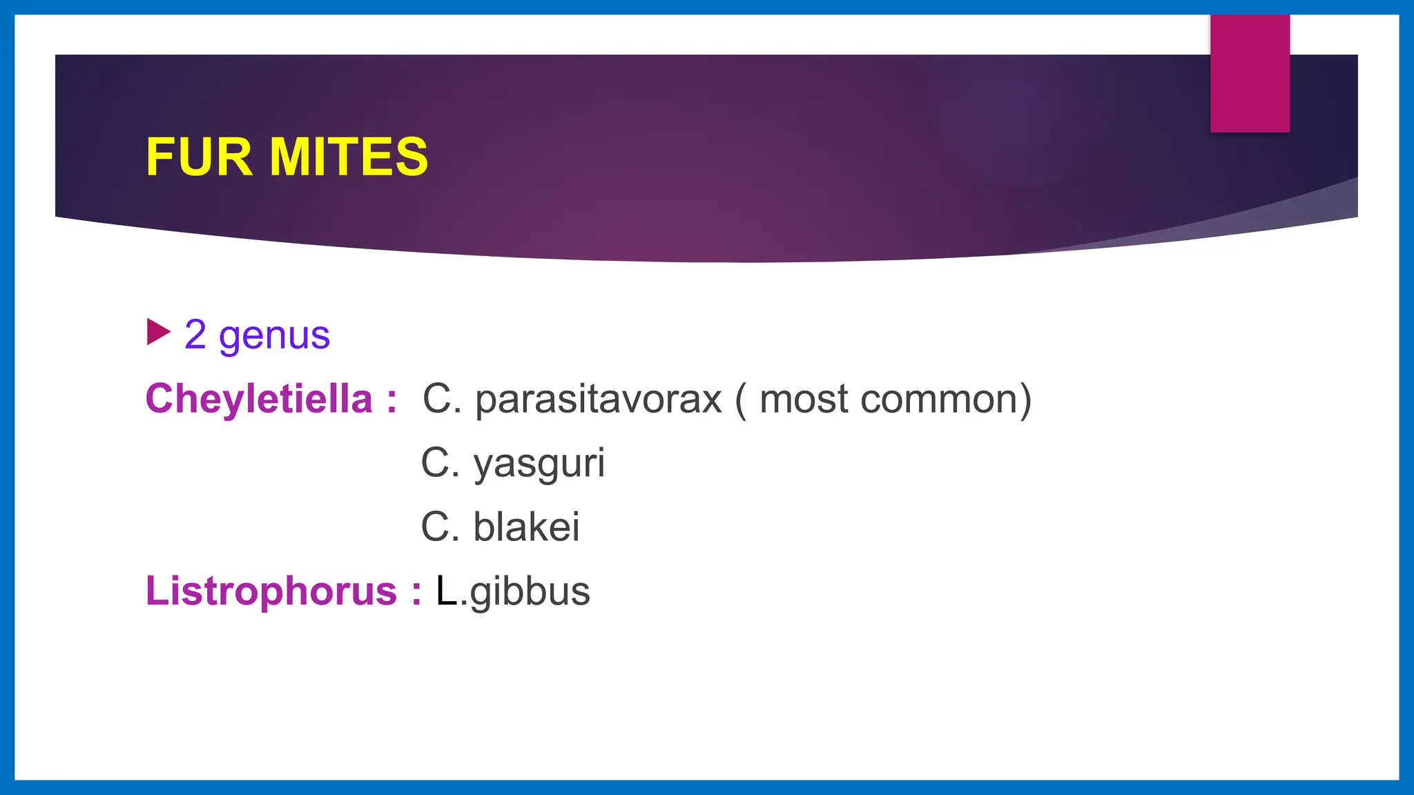 Power point presentations on animals and parasites | PPTX