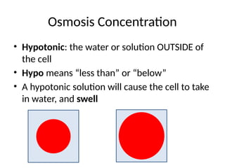 new bacterial cell membrane transport.14.pptx