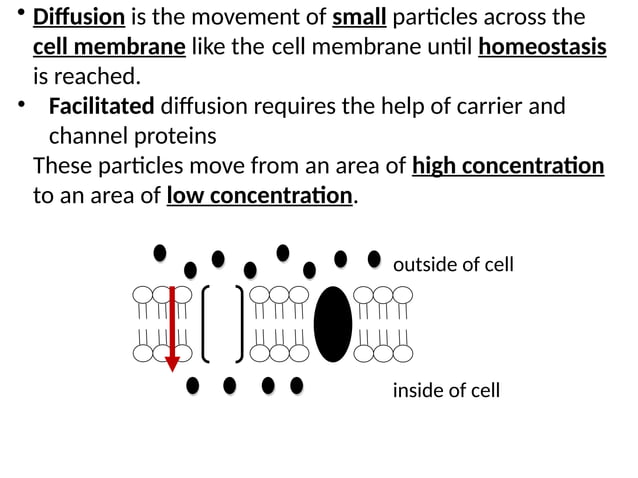 new bacterial cell membrane transport.14.pptx