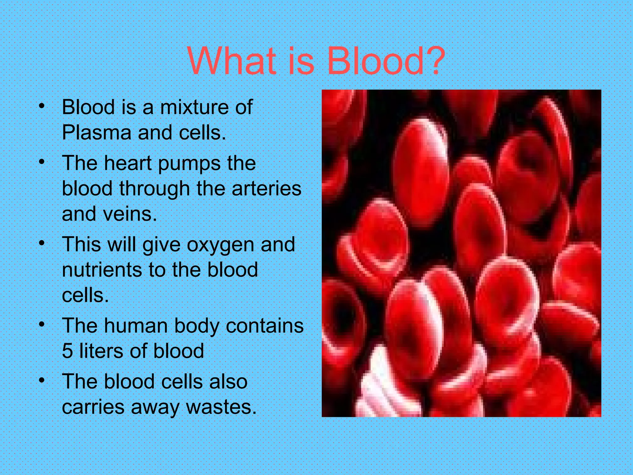 The Blood | PPT