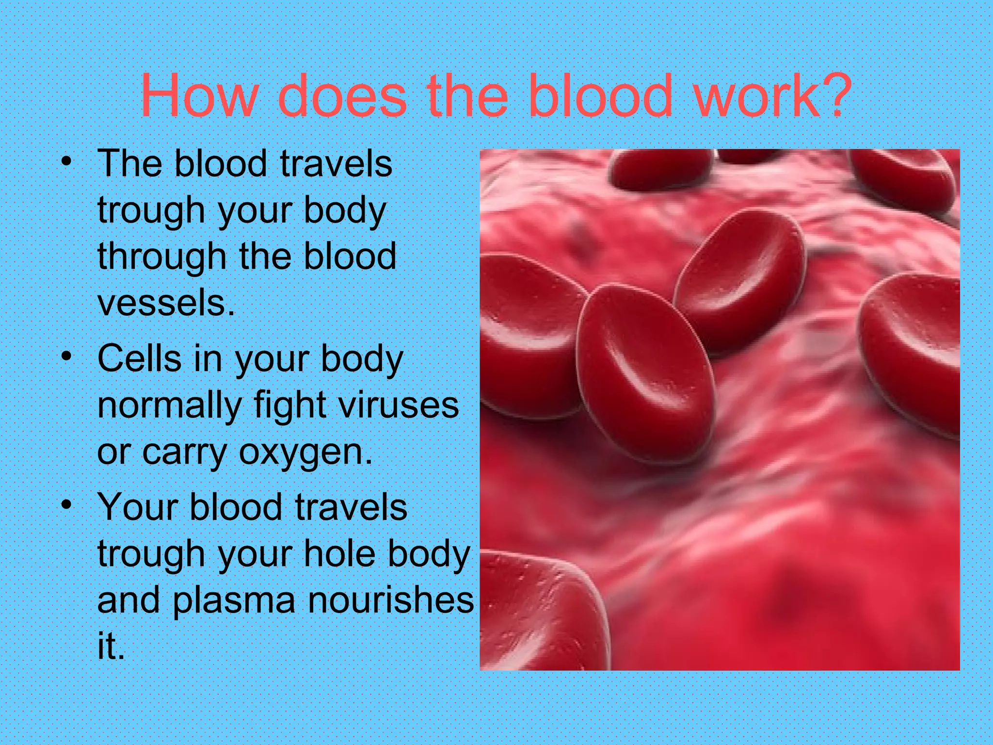 The Blood | PPT