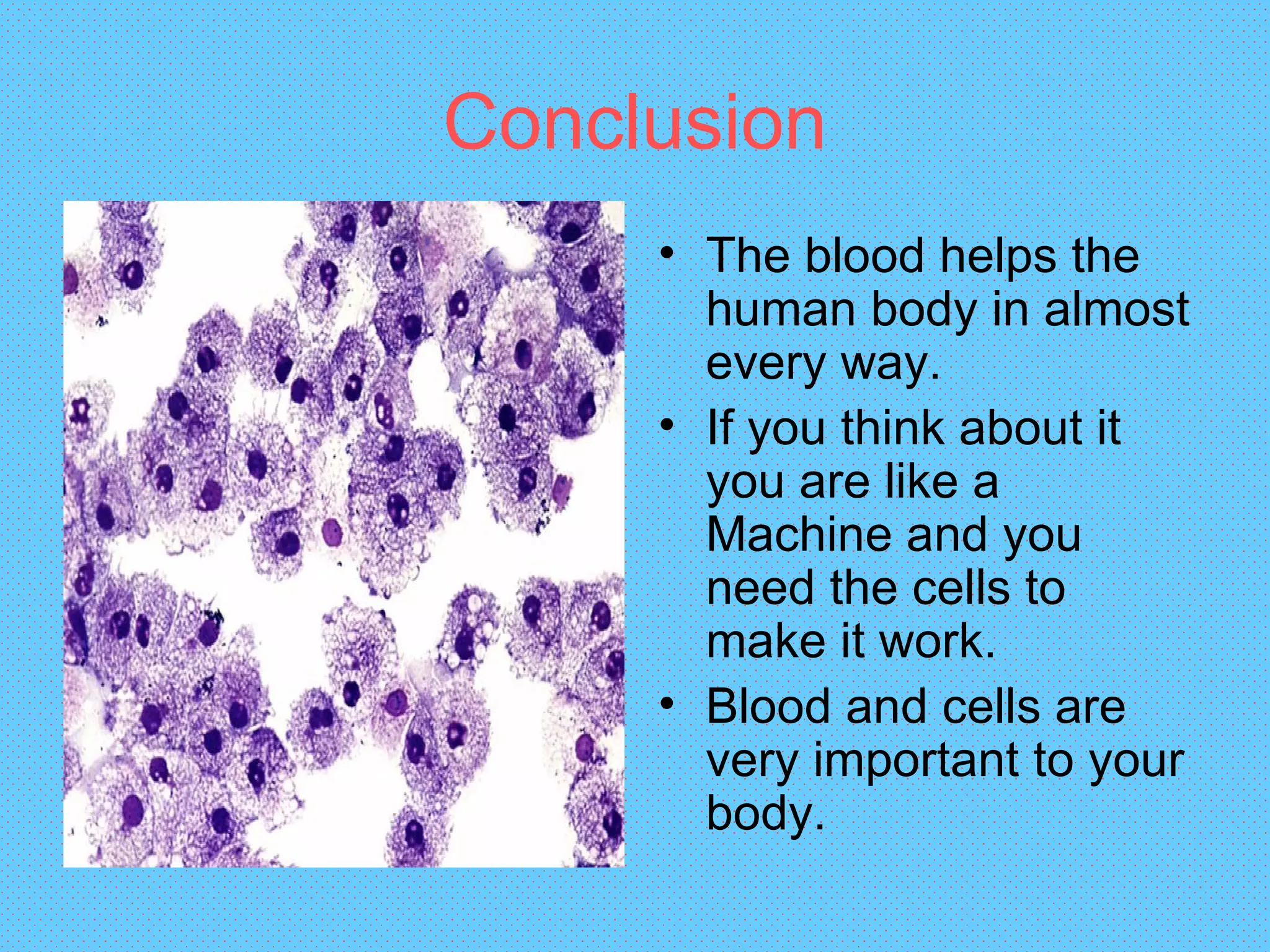 The Blood | PPT