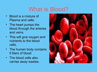The Blood | PPT