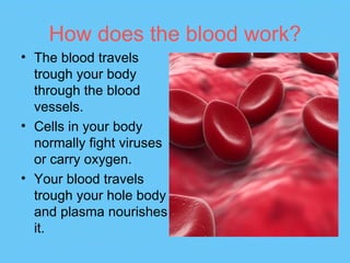 The Blood | PPT