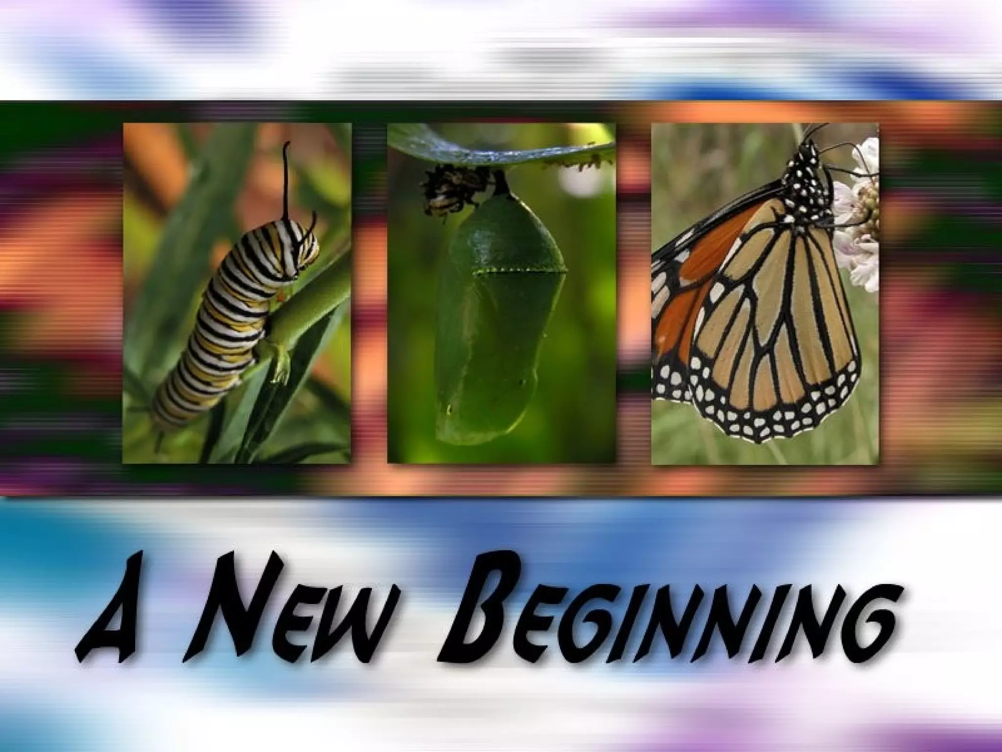 New Beginning 1: We Don't Have the Power to Change the Big Things | PPT