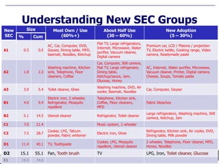 SEC Classification System.pdf