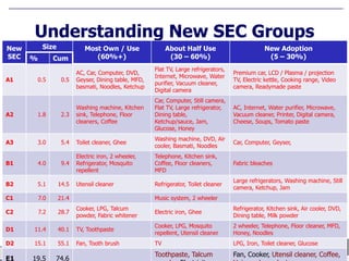 SEC Classification System.pdf