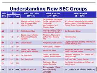 SEC Classification System.pdf