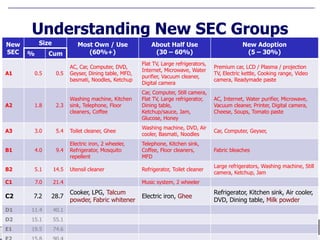 SEC Classification System.pdf