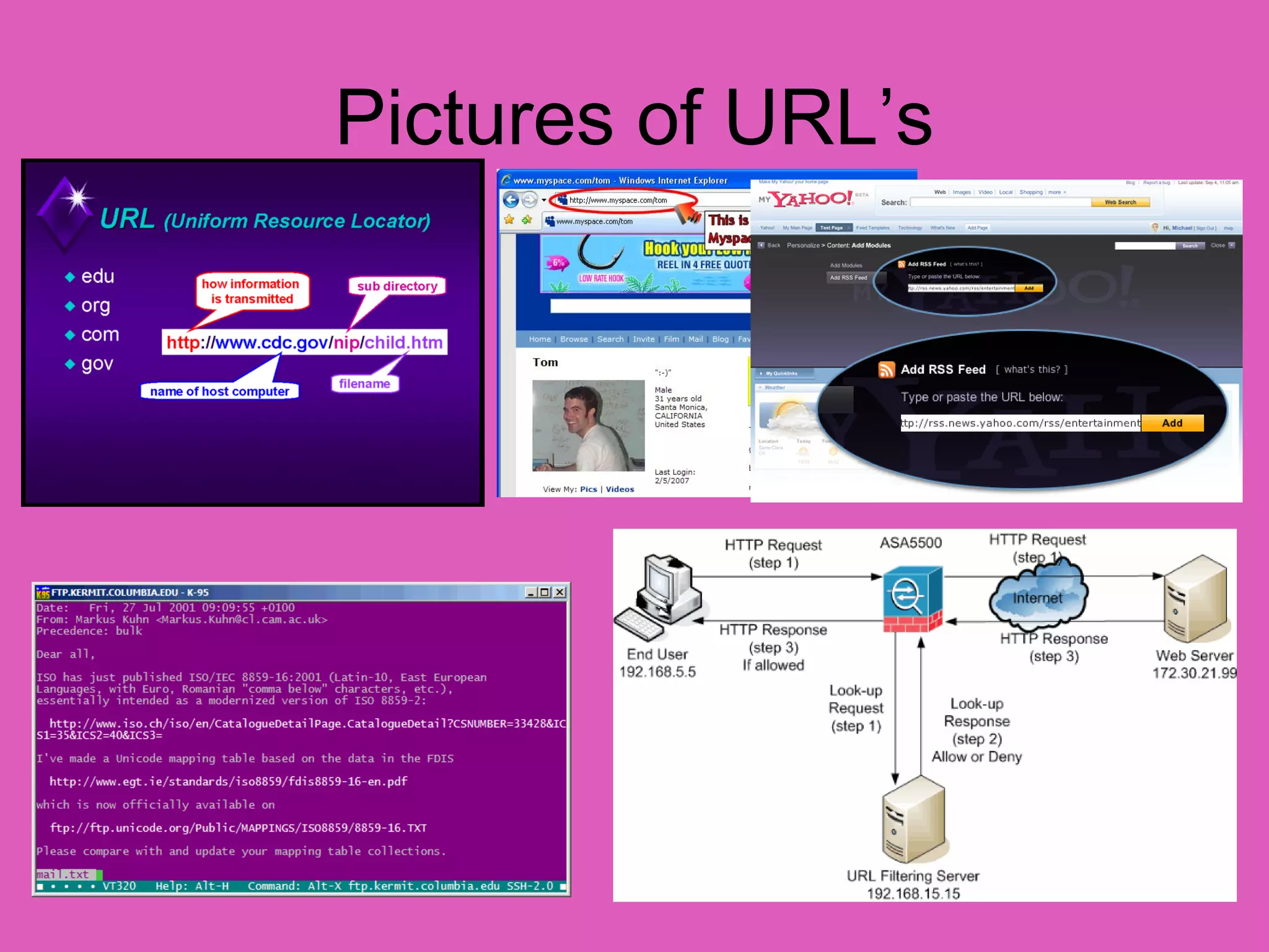 Leanna, Eleni and Raquel\'s URL Mini Assignment | PPT