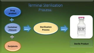 Sterilization | PPTX