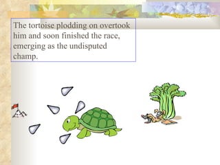 New Rabbit & Tortoise Story | PPS | Reptiles | Pets