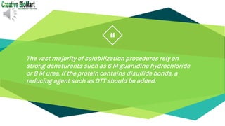 Refolding of inclusion body proteins from e. coli | PPTX