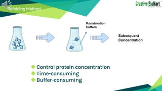 Refolding of inclusion body proteins from e. coli | PPTX