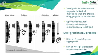 Refolding of inclusion body proteins from e. coli | PPTX