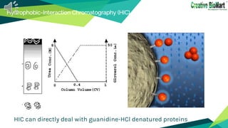 Refolding of inclusion body proteins from e. coli | PPTX