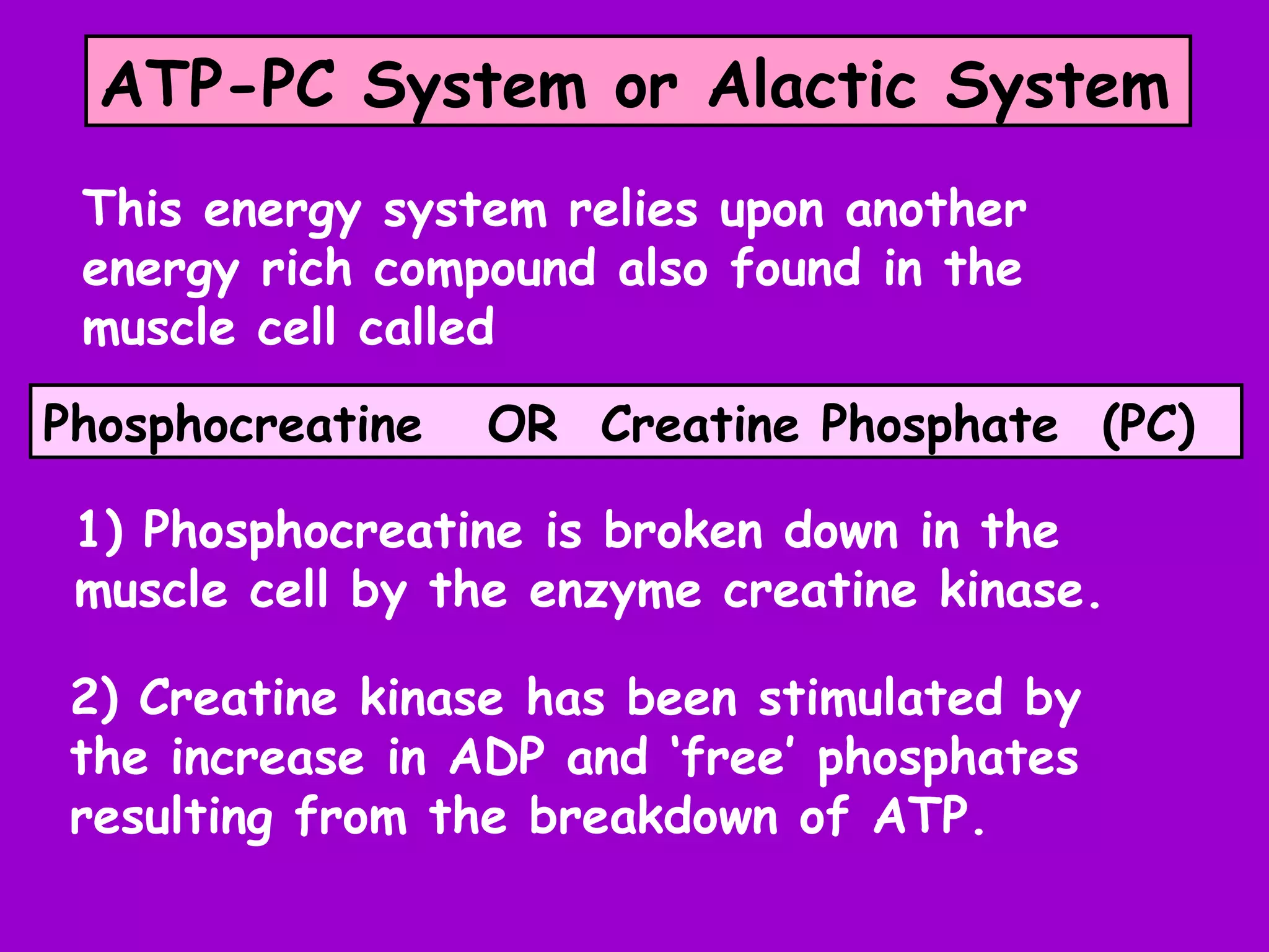 Atp-pc system | PPT