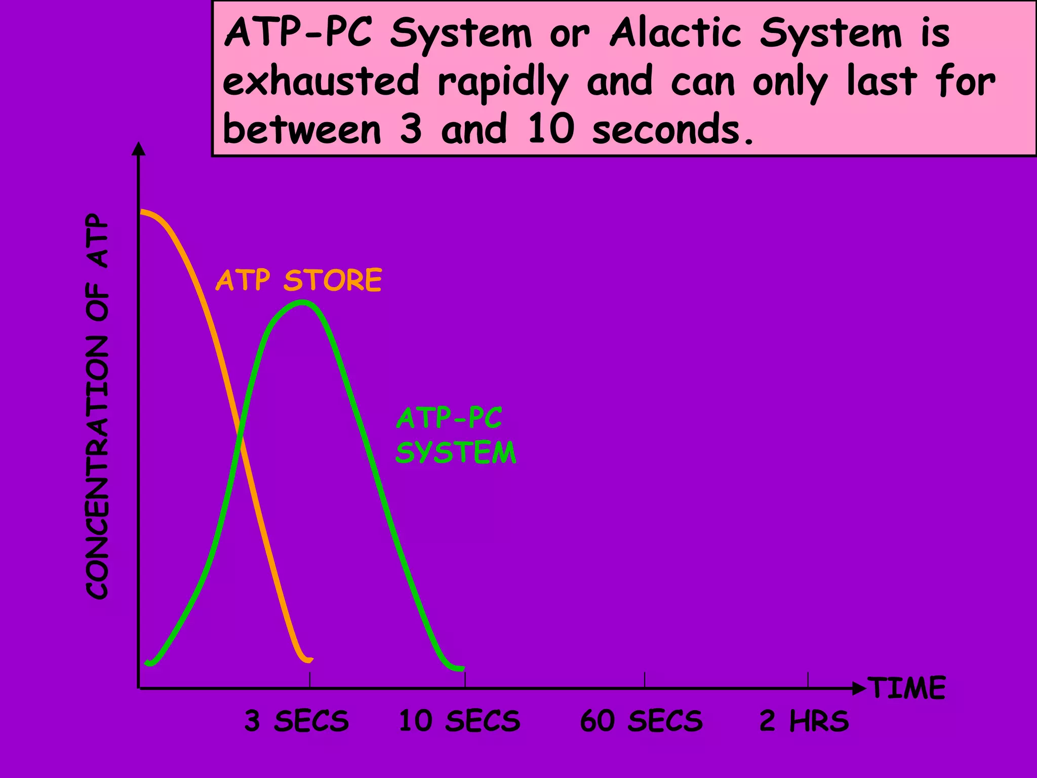 Atp-pc system | PPT