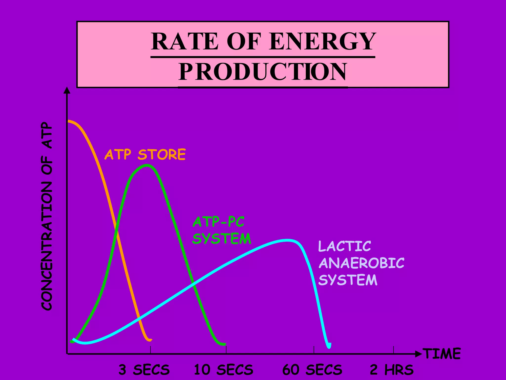 Atp-pc system | PPT